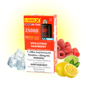 MTN Citrus Raspberry Ice Pods Level X G2 by Flavour Beast Boost ...